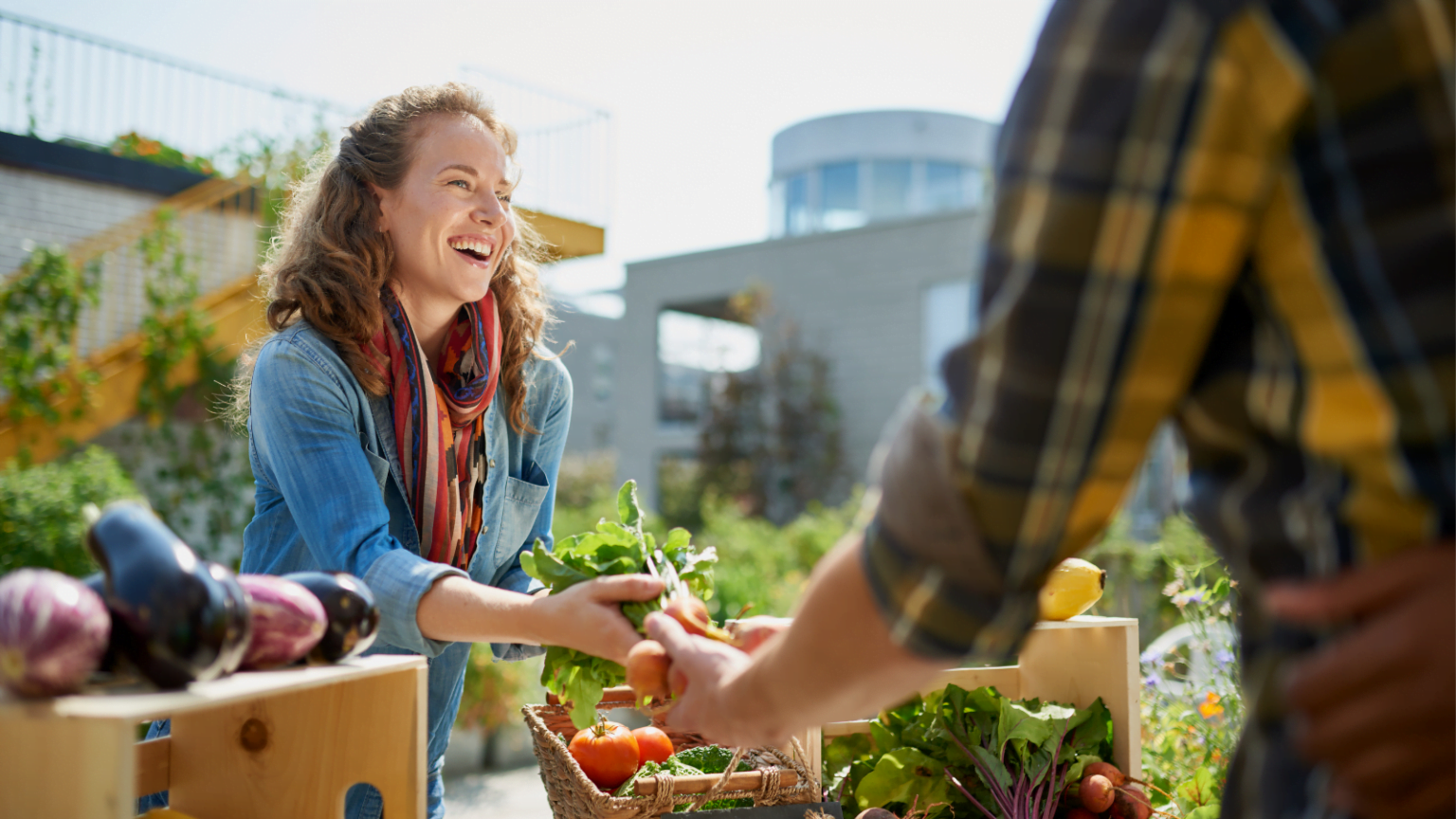 20 Reasons Why Families Are Choosing Rural Life Over Big Cities ...