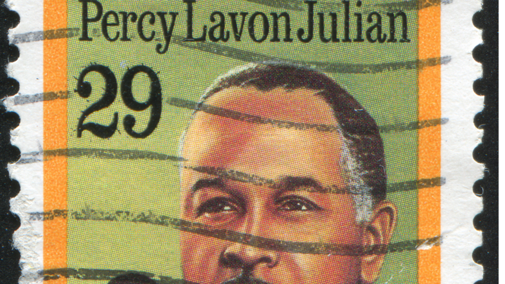 Our Shameful Oversight: 13 Hidden Geniuses Who Revolutionized Our World ...