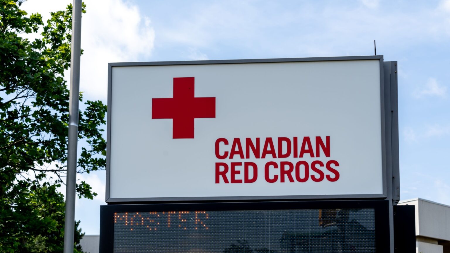 21 Canadian Wins Funded by Ordinary People - Hashtag Investing