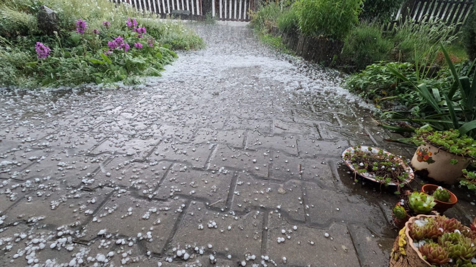 16 Weather Freak-outs Only Canadians Understand - Hashtag Investing